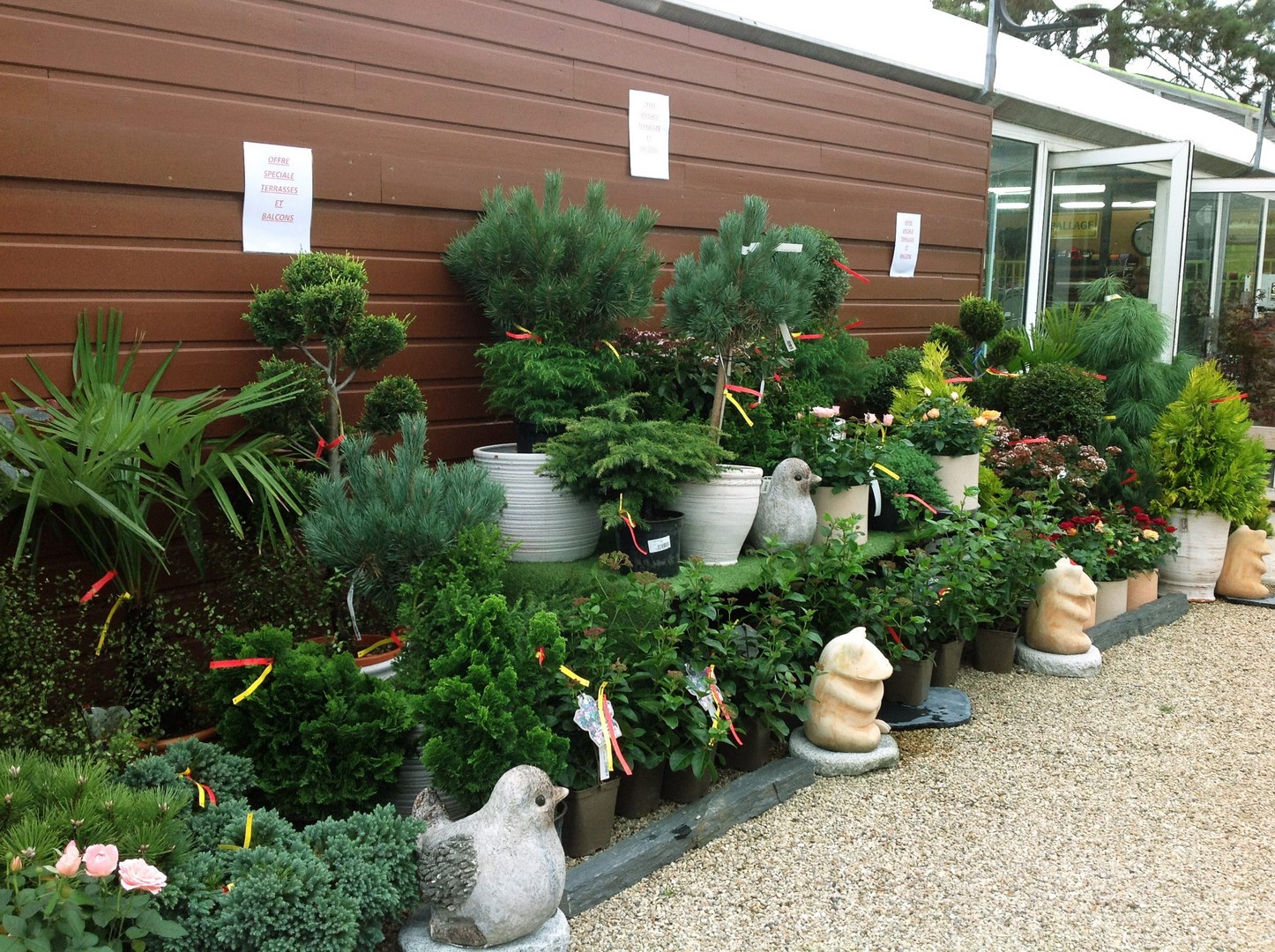 Pépinière - Jardinerie de Montesson